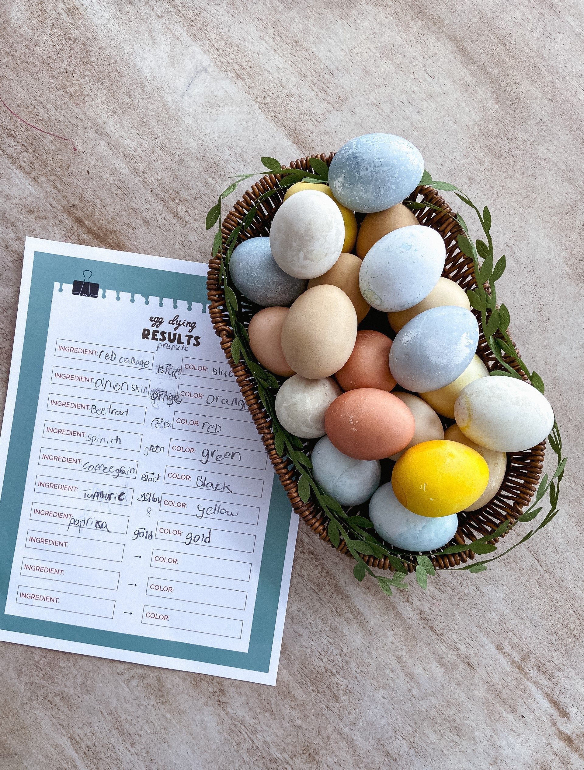Egg Unit Study, Homeschool Unit Studies, Homeschool Printables, Egg ...