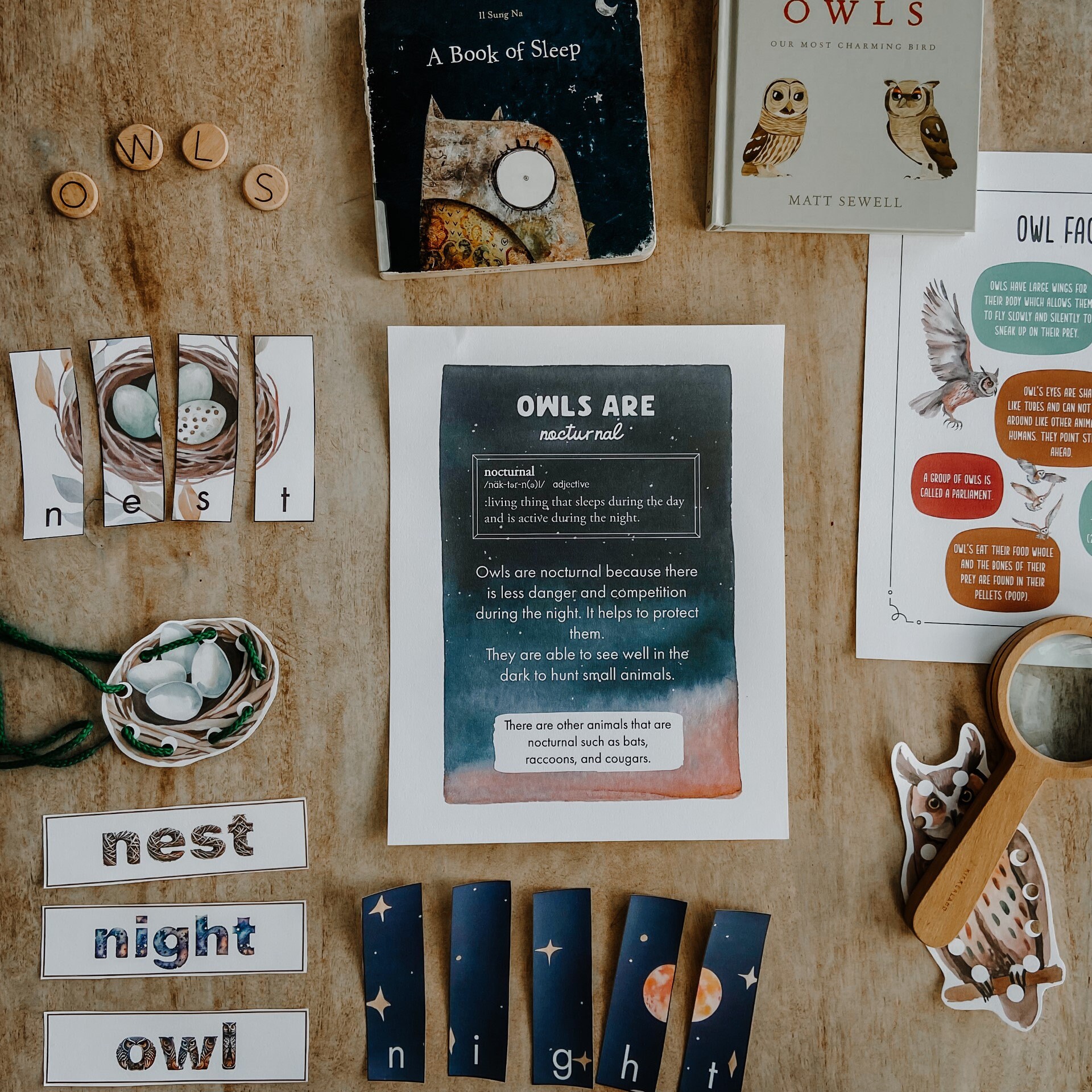 Owl Unit Study, Homeschool Unit Study, Homeschool Printables, Charlotte ...