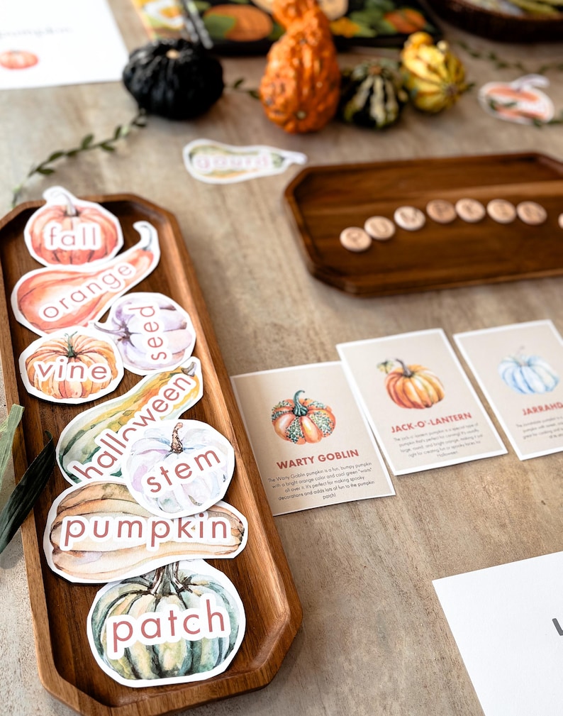 Pumpkin Unit Study, Pumpkins Unit, Homeschool Unit Studies, Homeschool ...