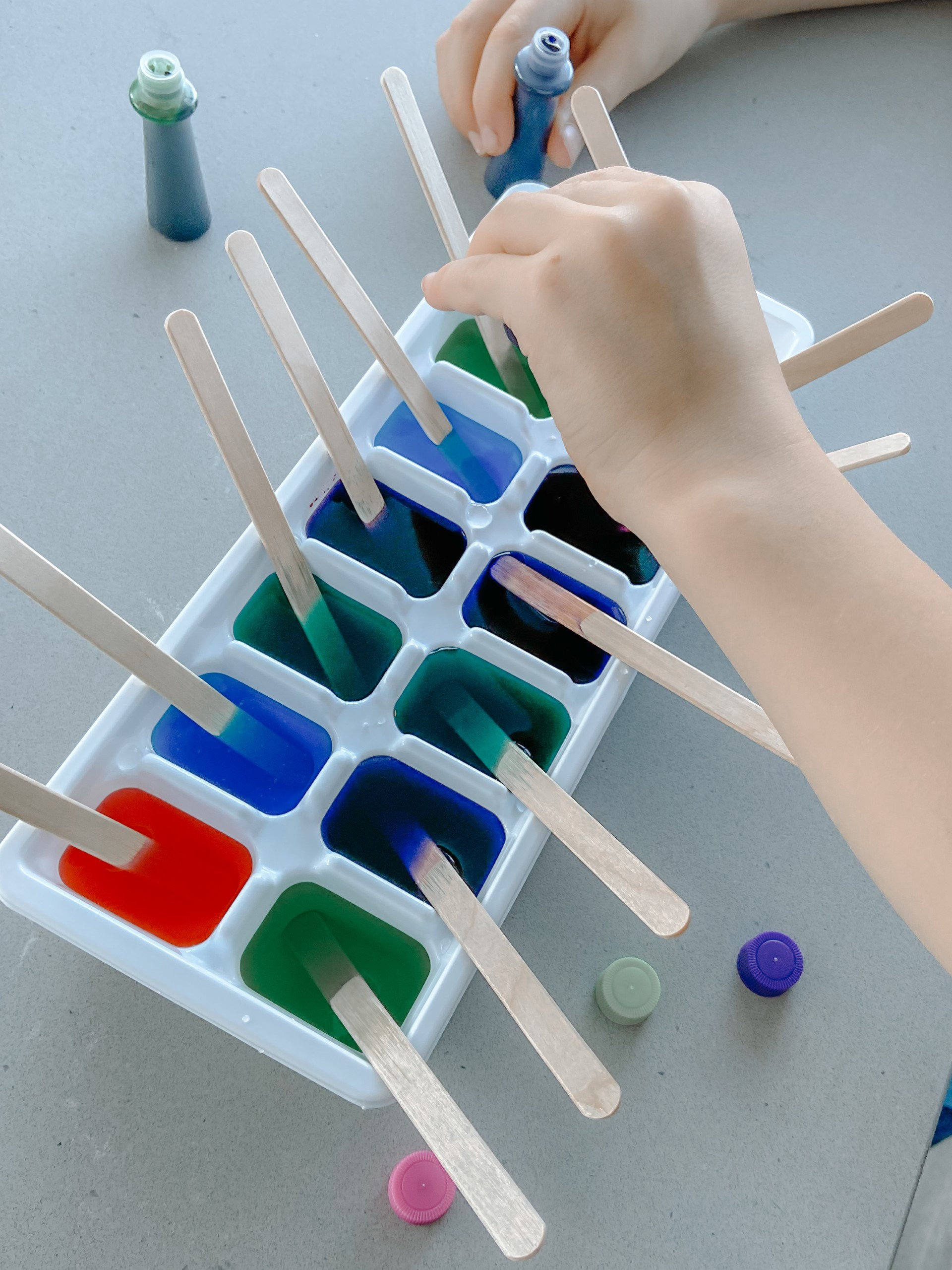 Snow Unit Study, Homeschool Printables, Charlotte Mason Inspired ...