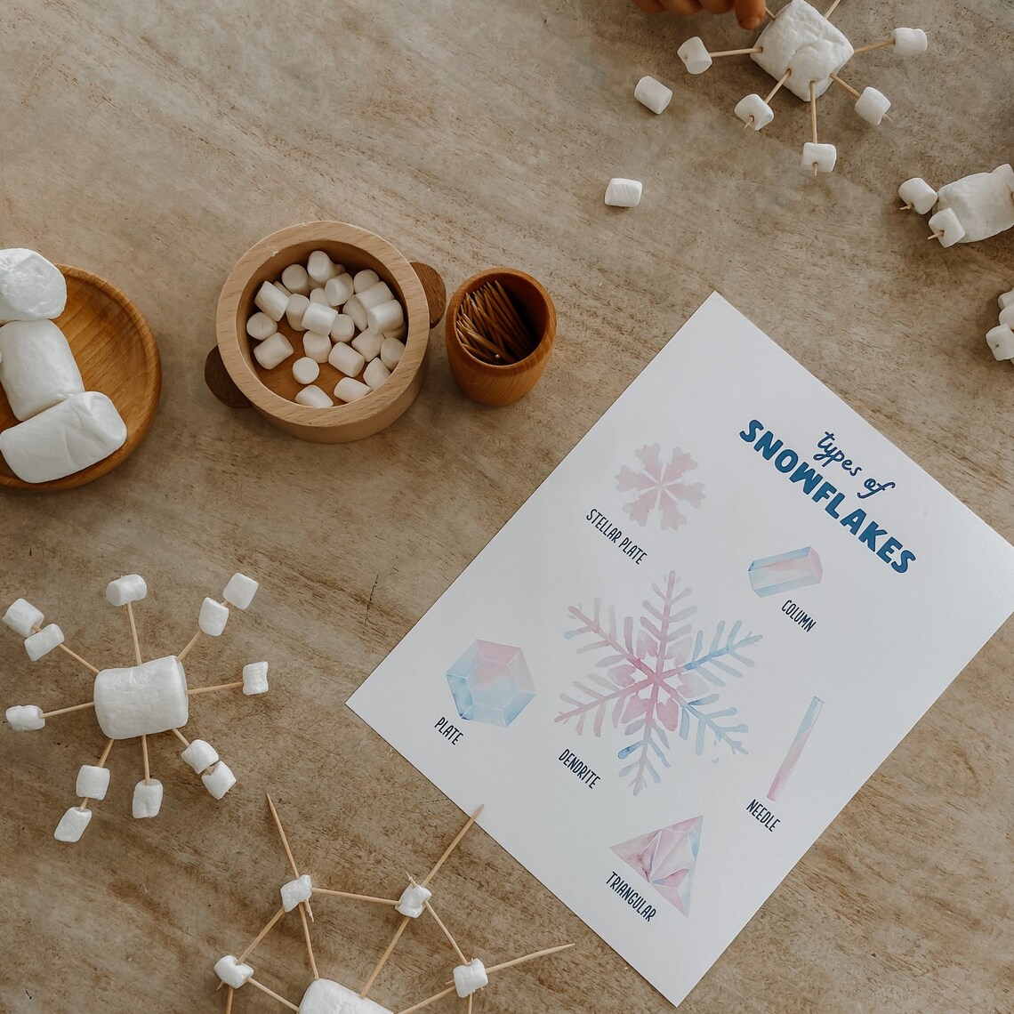 Snow Unit Study, Homeschool Printables, Charlotte Mason Inspired ...