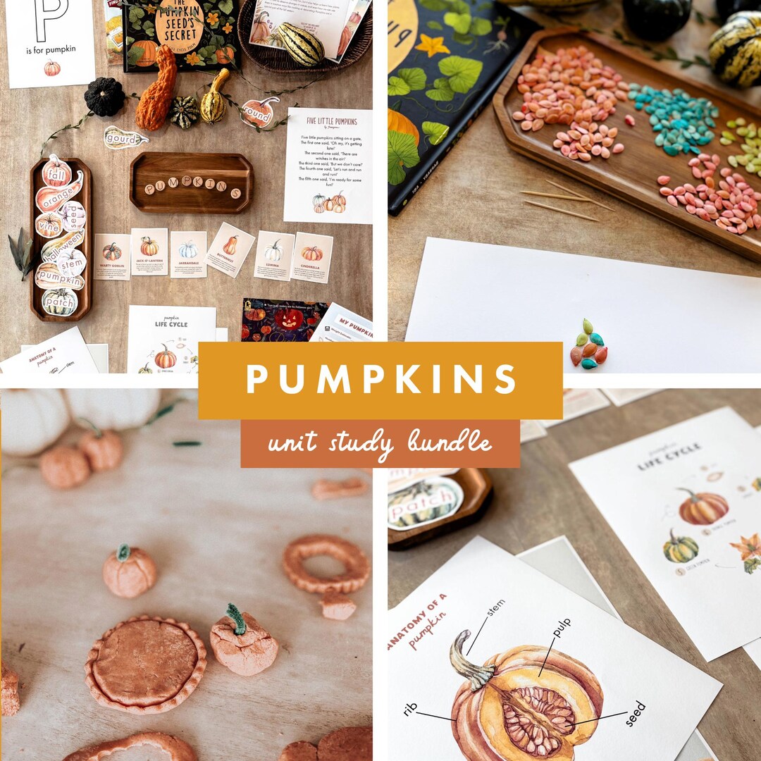 Pumpkin Unit Study, Pumpkins Unit, Homeschool Unit Studies, Homeschool ...