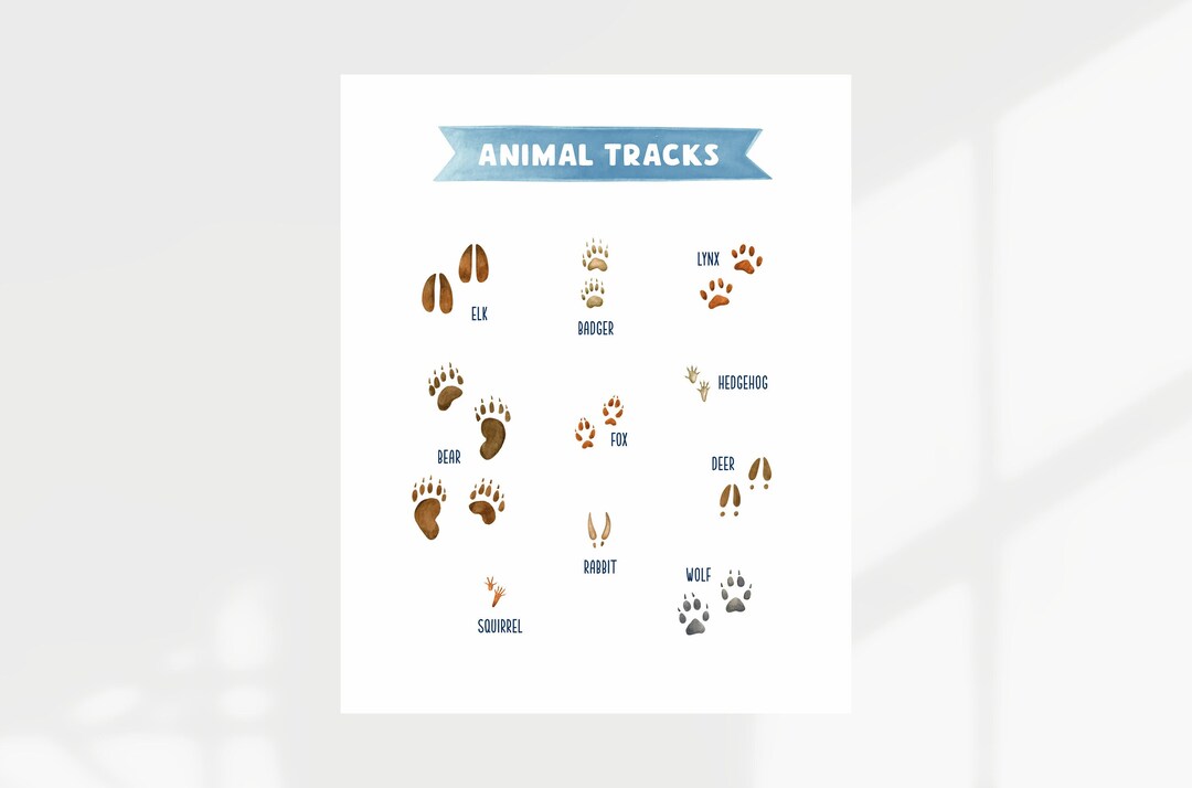 Animal Tracks Poster, Educational Poster, Homeschool Printables ...