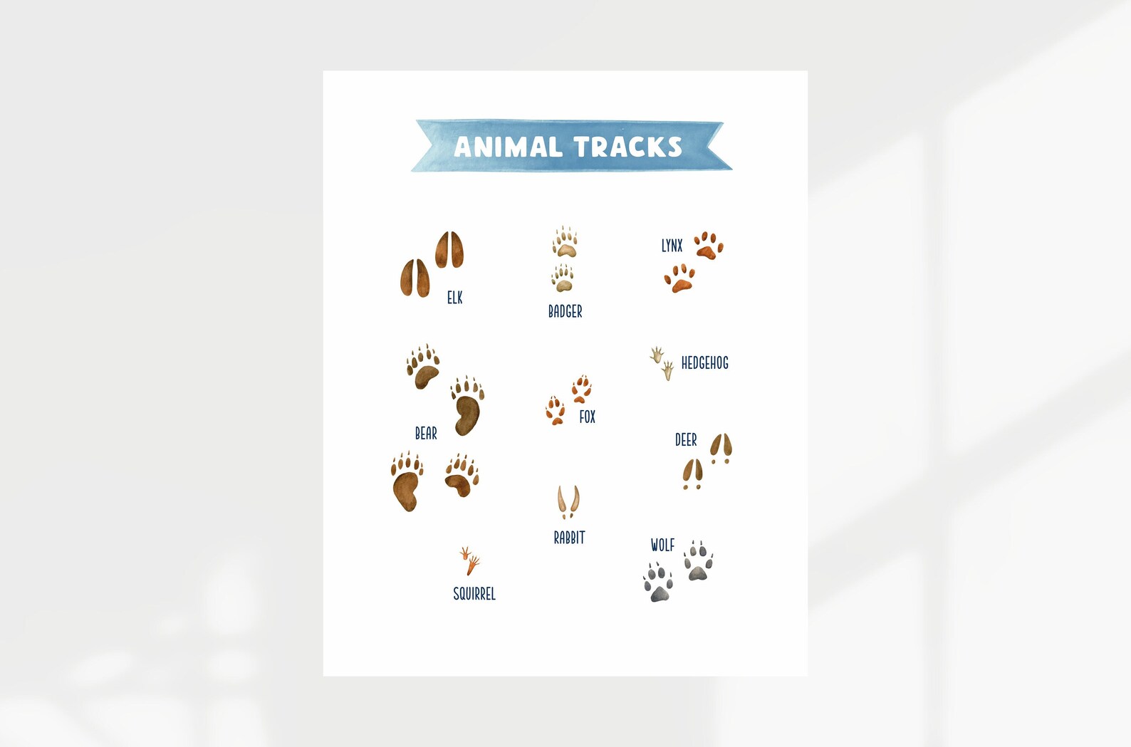 Animal Tracks Poster, Educational Poster, Homeschool Printables ...