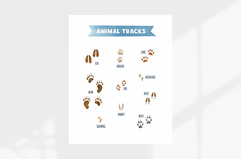 Animal Tracks Poster, Educational Poster, Homeschool Printables ...