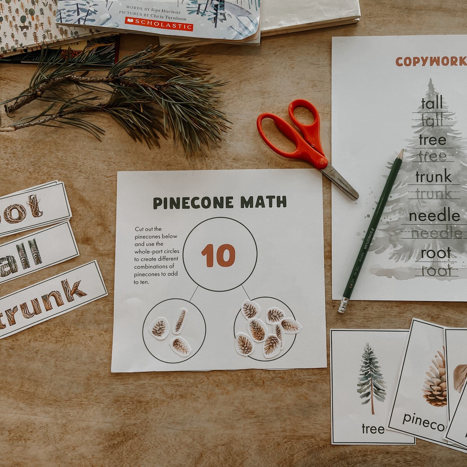 Coniferous Trees Unit Study, Homeschool Printables, Charlotte Mason ...