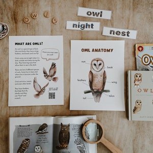 Owl Unit Study, Homeschool Unit Study, Homeschool Printables, Charlotte ...