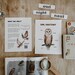 Owl Unit Study, Homeschool Unit Study, Homeschool Printables, Charlotte ...
