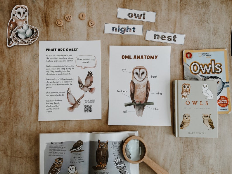 Owl Unit Study, Homeschool Unit Study, Homeschool Printables, Charlotte ...