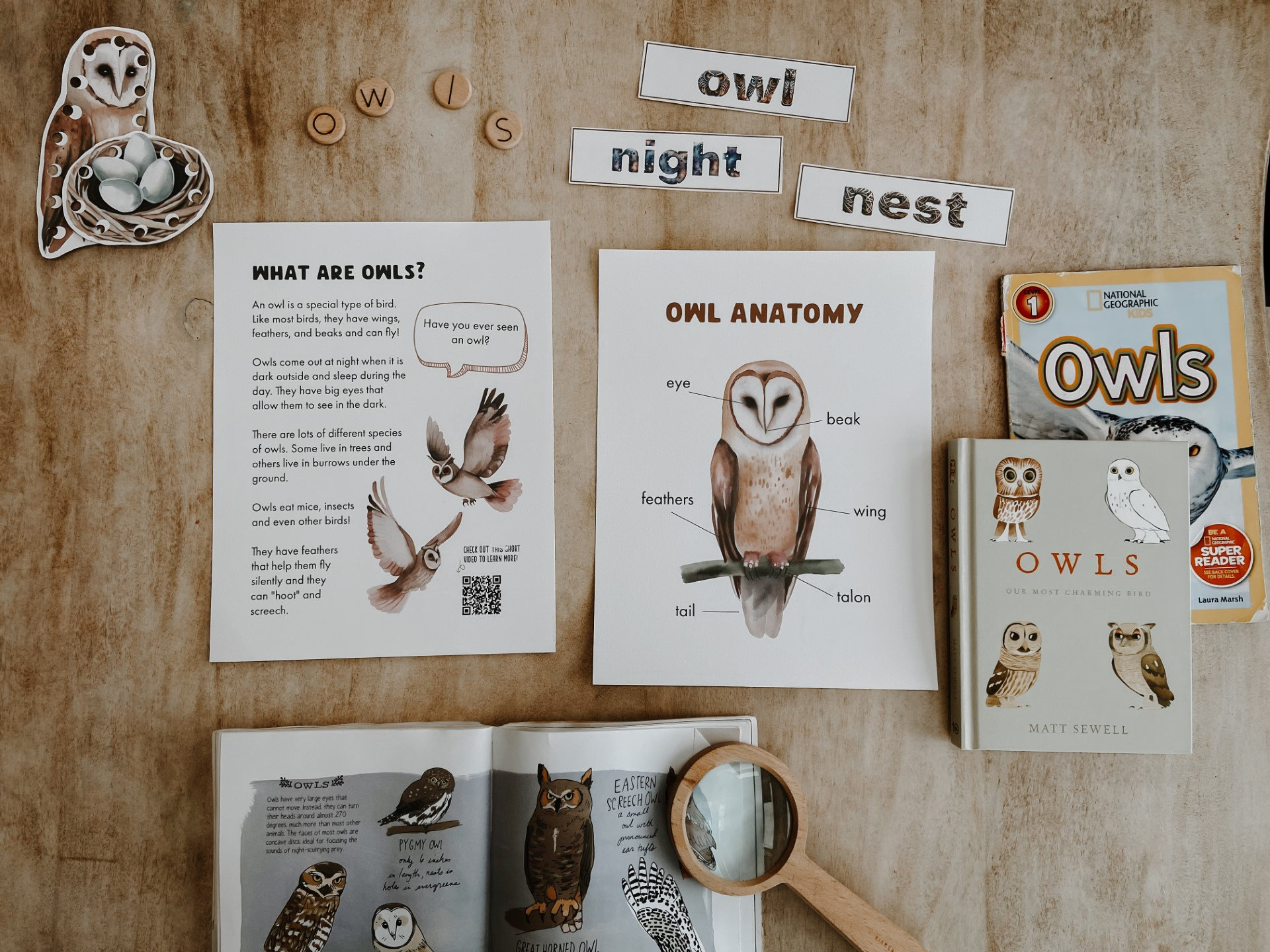 Owl Unit Study, Homeschool Unit Study, Homeschool Printables, Charlotte ...
