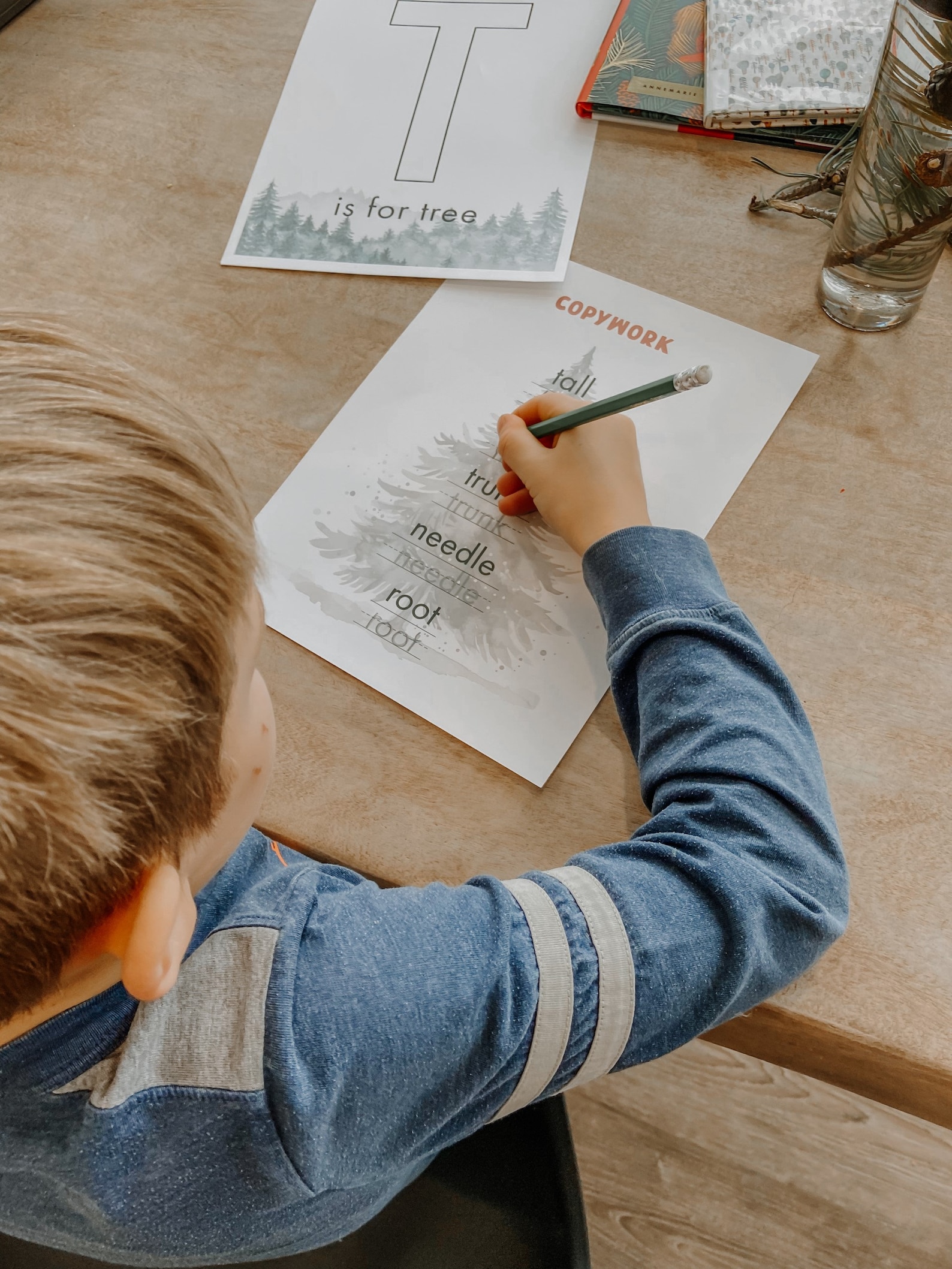 Coniferous Trees Unit Study, Homeschool Printables, Charlotte Mason Inspired, Learning Resource ...