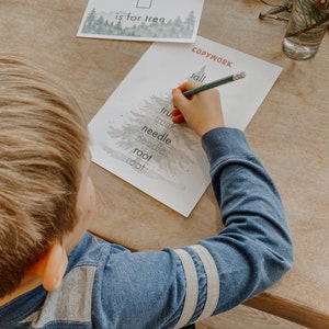 Coniferous Trees Unit Study, Homeschool Printables, Charlotte Mason ...