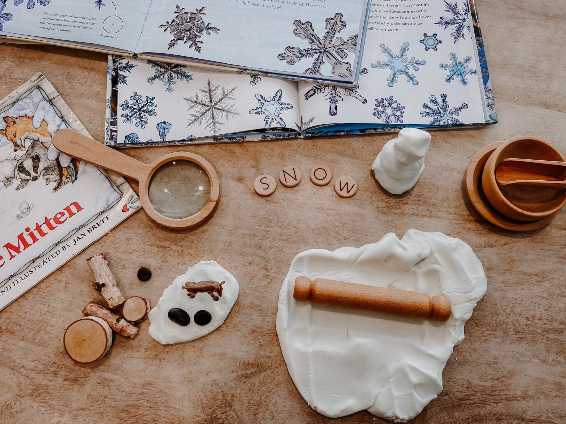 Winter Unit Study Bundle, Homeschool Unit Studies, Homeschool ...