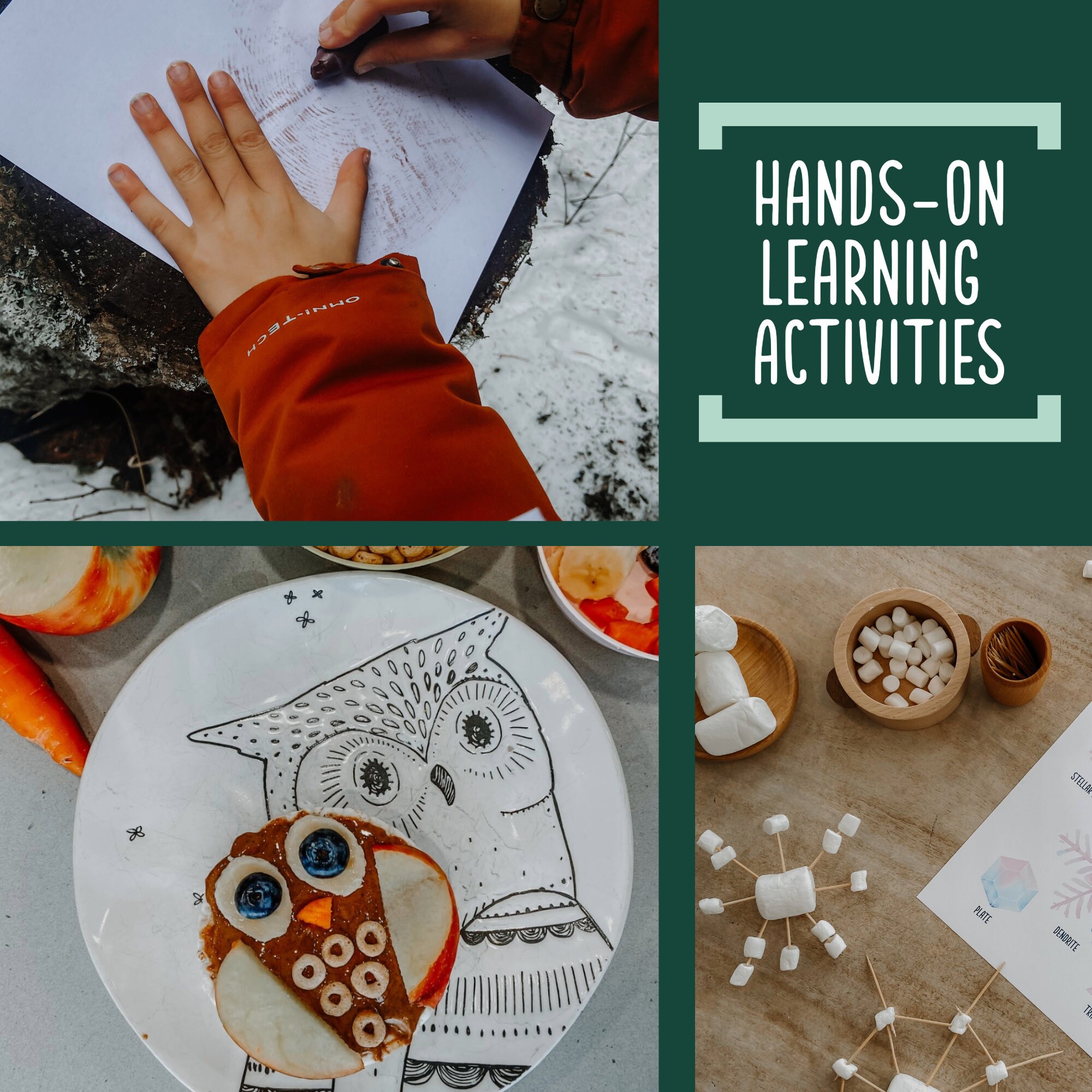 Winter Unit Study Bundle, Homeschool Unit Studies, Homeschool ...