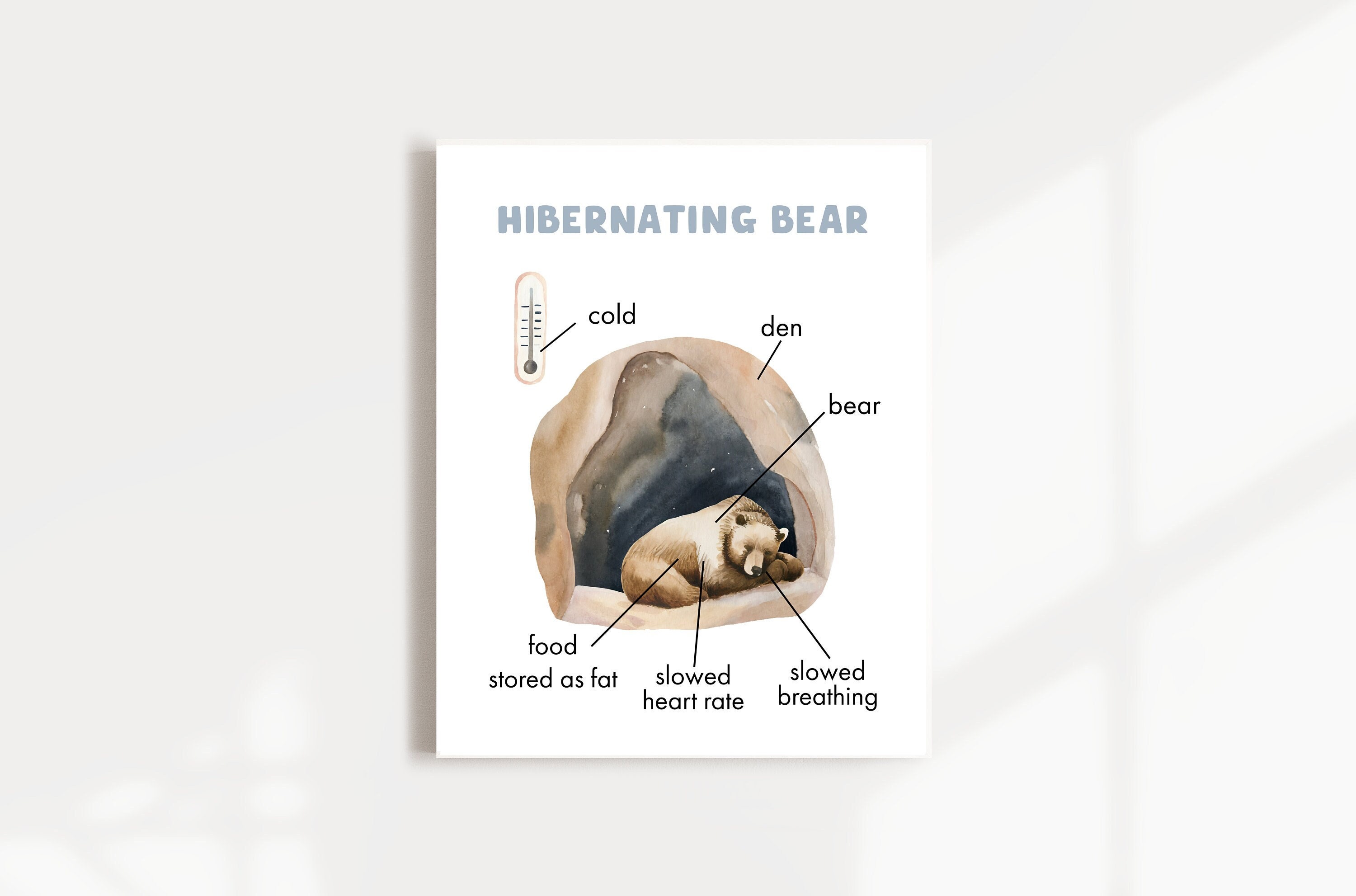 Hibernation Poster, Educational Poster, Homeschool Printables ...
