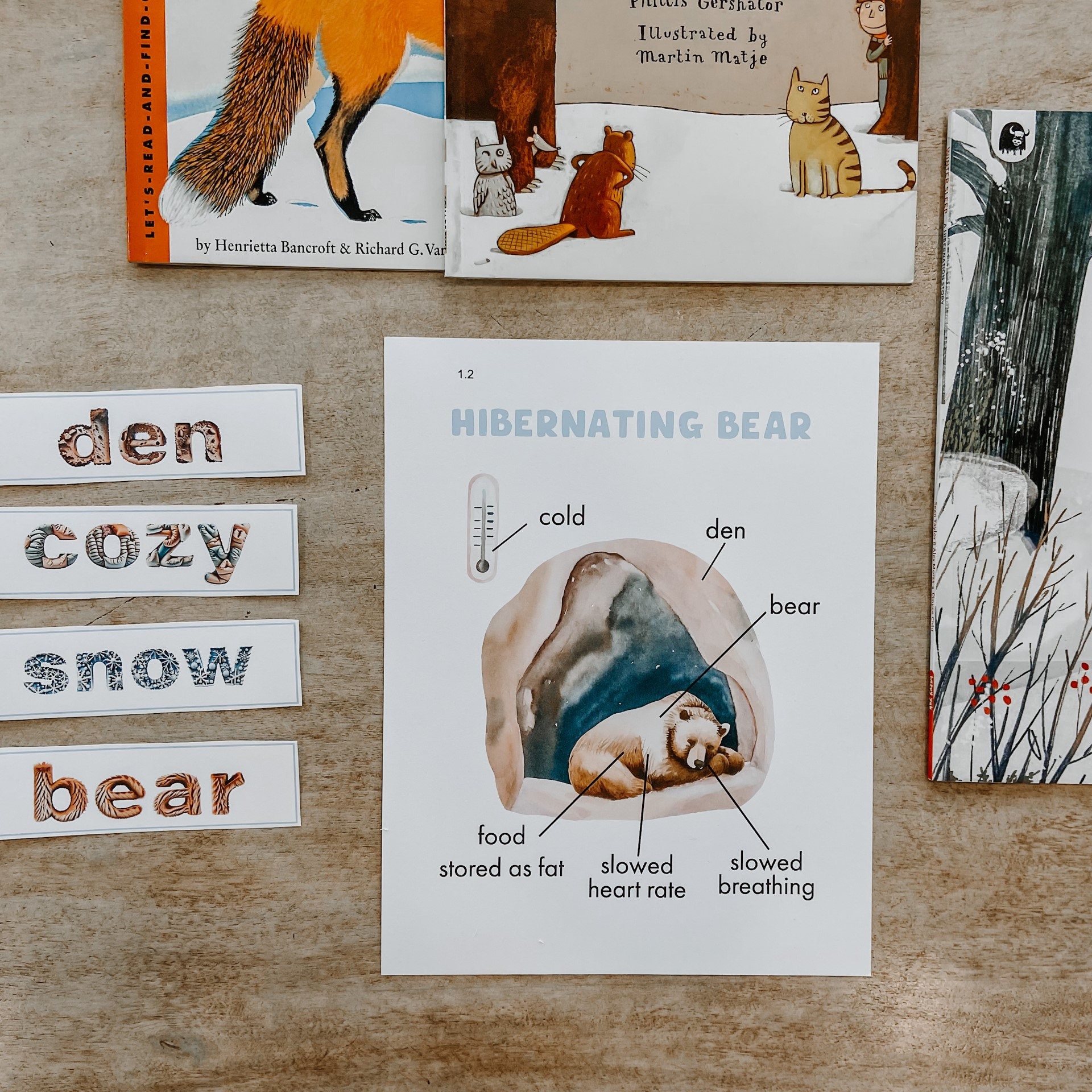 Winter Unit Study Bundle, Homeschool Unit Studies, Homeschool ...