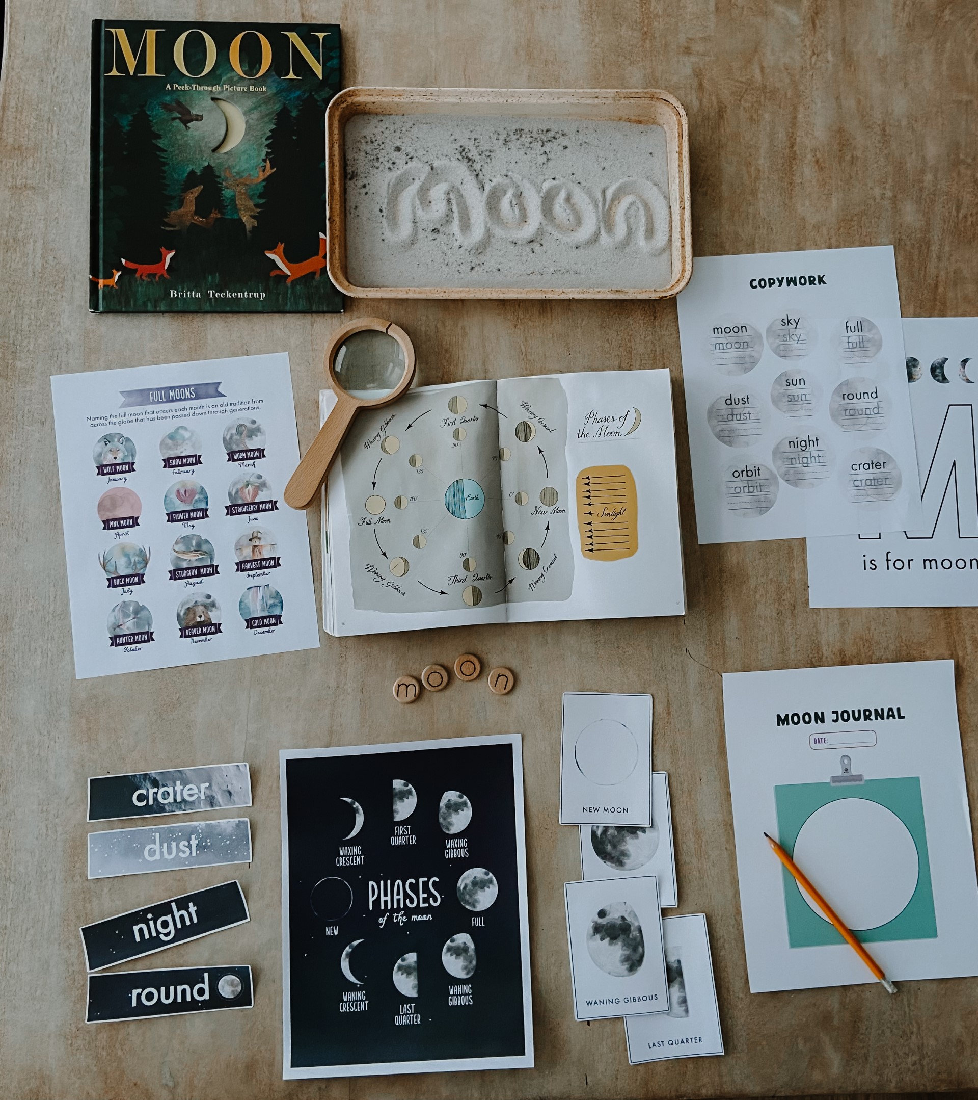 Moon Unit Study,homeschool Unit Study, Curriculum, Homeschool ...