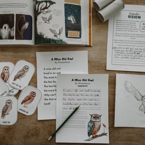 Owl Unit Study, Homeschool Unit Study, Homeschool Printables, Charlotte ...