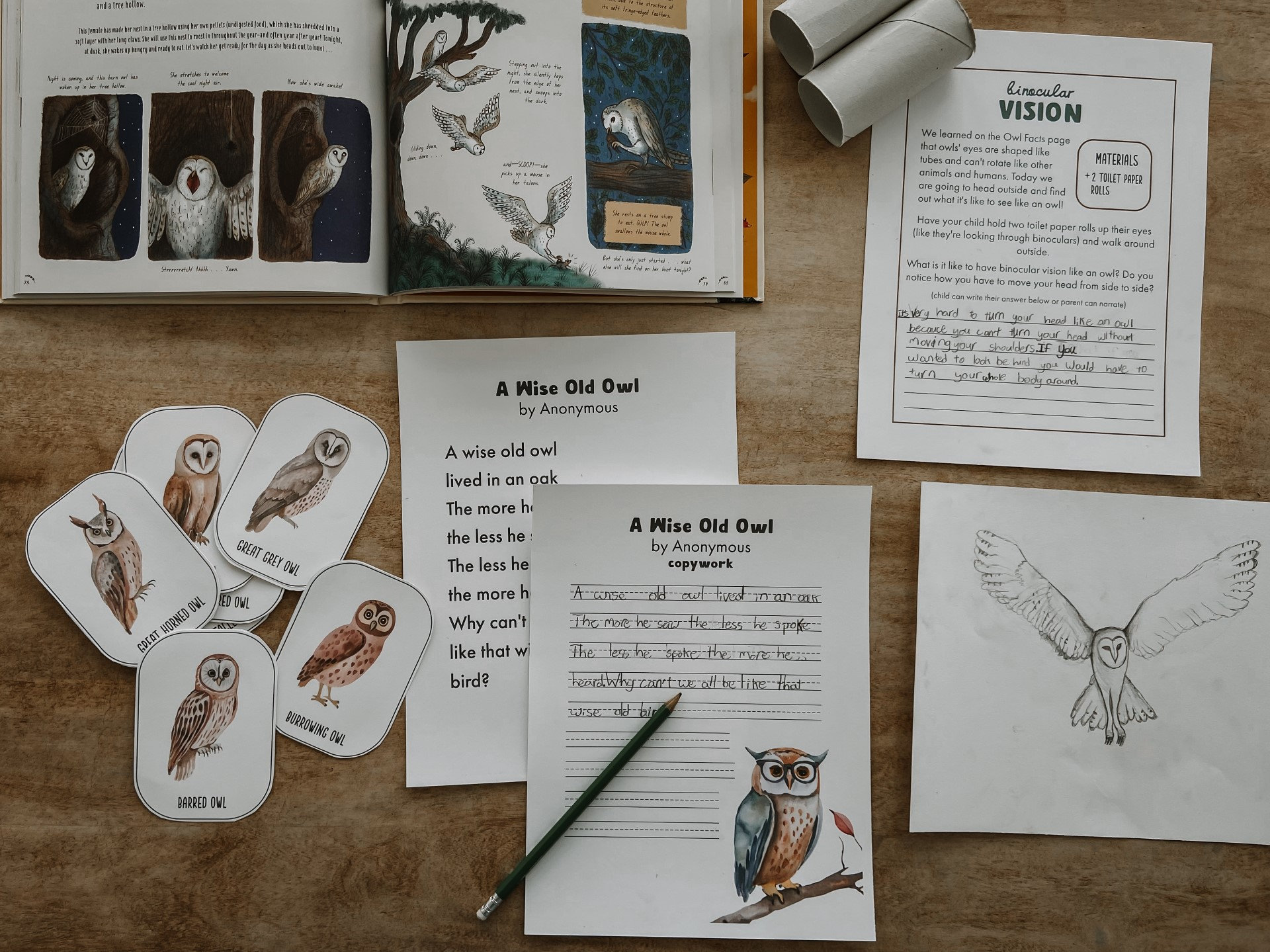 Owl Unit Study, Homeschool Unit Study, Homeschool Printables, Charlotte ...