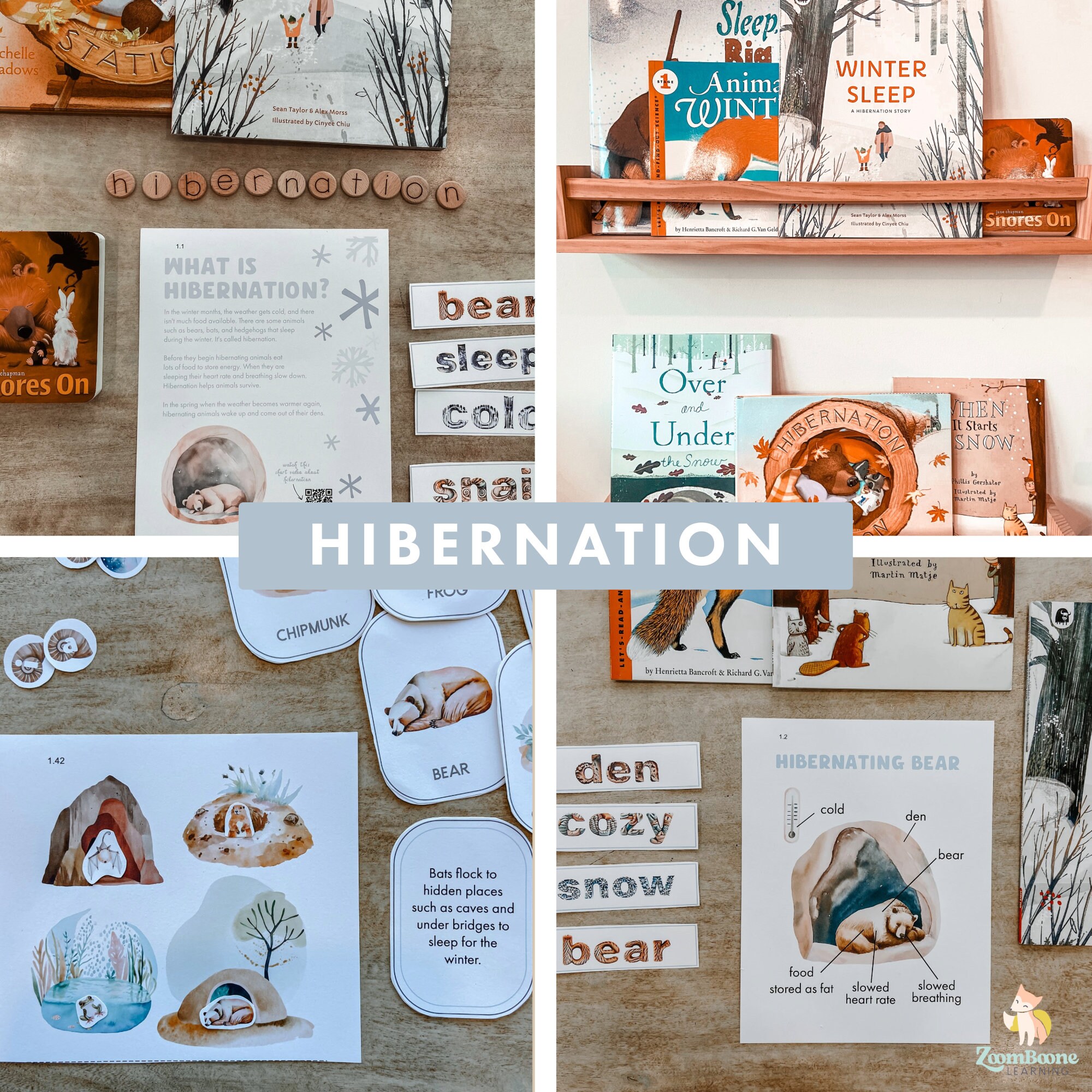 Hibernation Unit Study, Homeschool Printables, Charlotte Mason Inspired ...