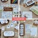 Rainbow Unit Study, Homeschool Unit Studies, Homeschool Printables ...