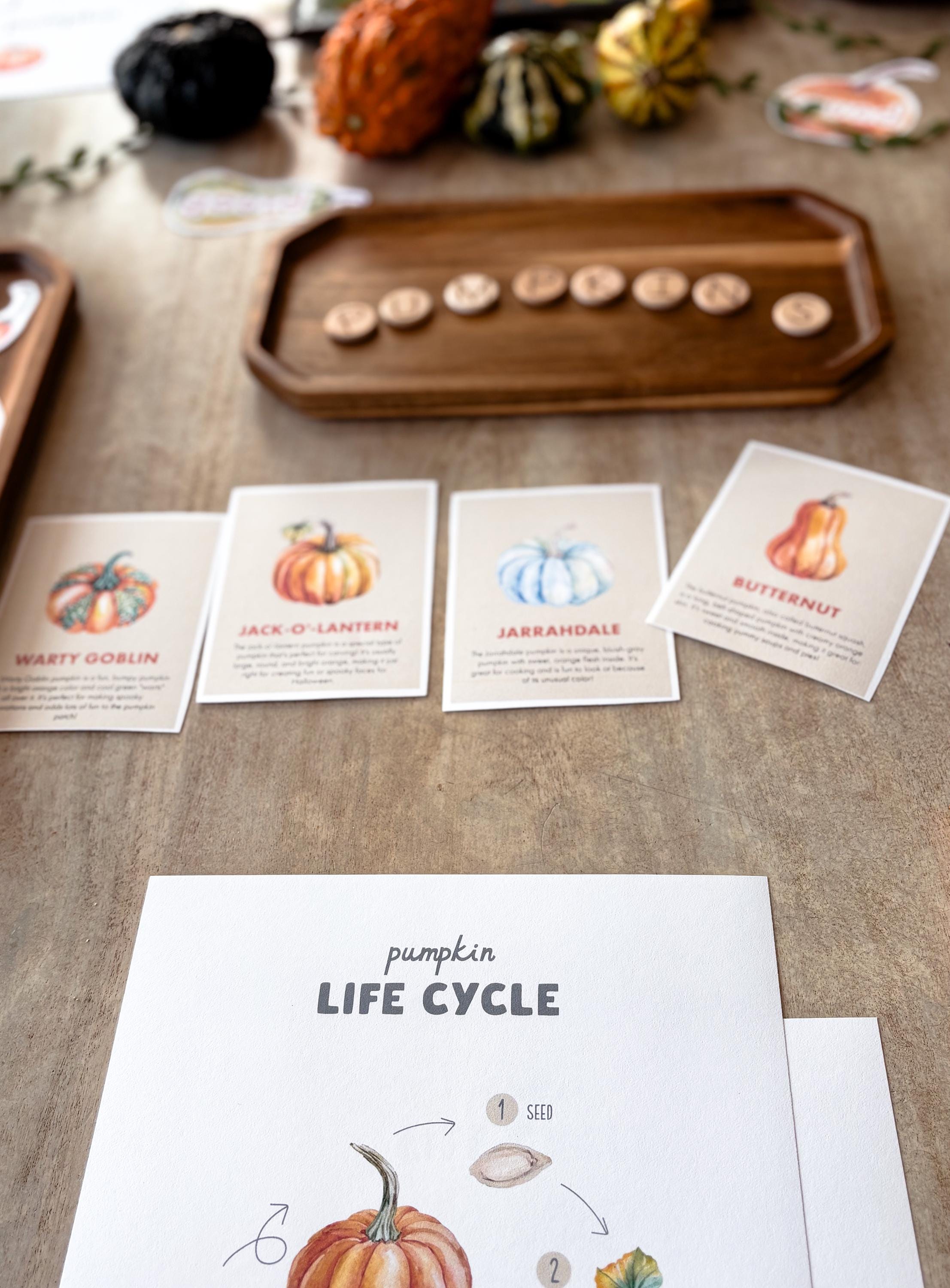 Pumpkin Unit Study, Pumpkins Unit, Homeschool Unit Studies, Homeschool ...