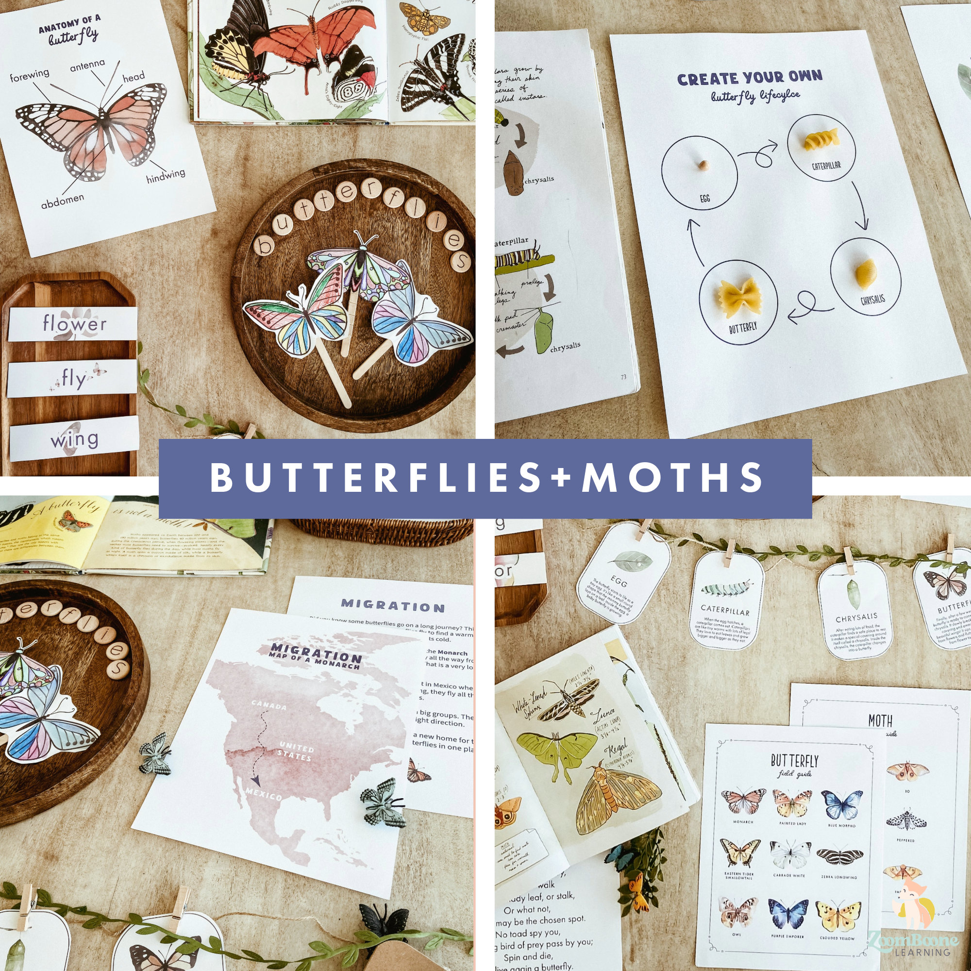 Butterfly and Moth Unit Study, Homeschool Unit Studies, Homeschool ...