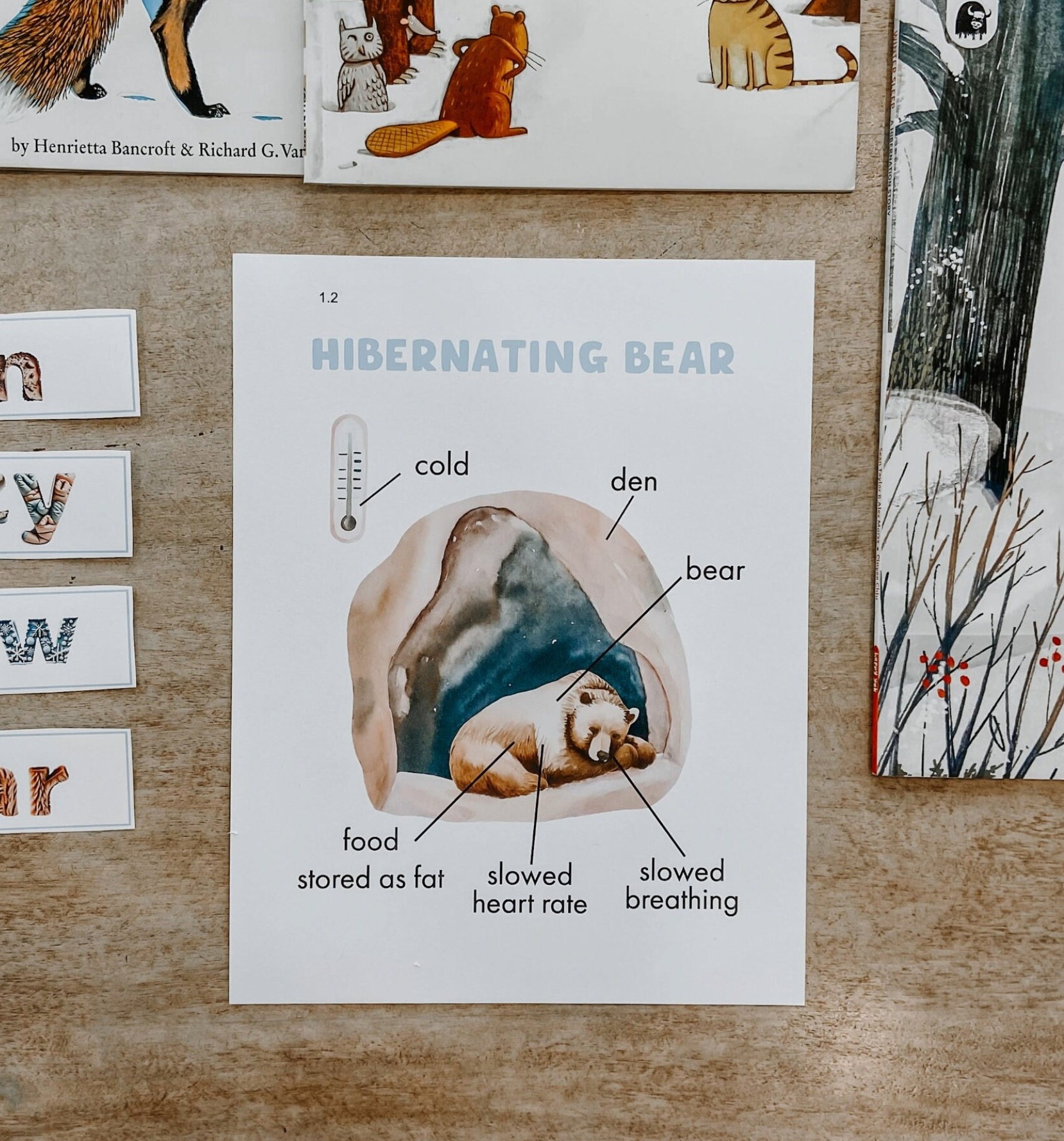 Hibernation Poster, Educational Poster, Homeschool Printables ...