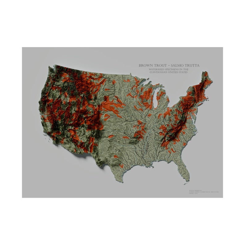 Brown Trout Map USA - Etsy