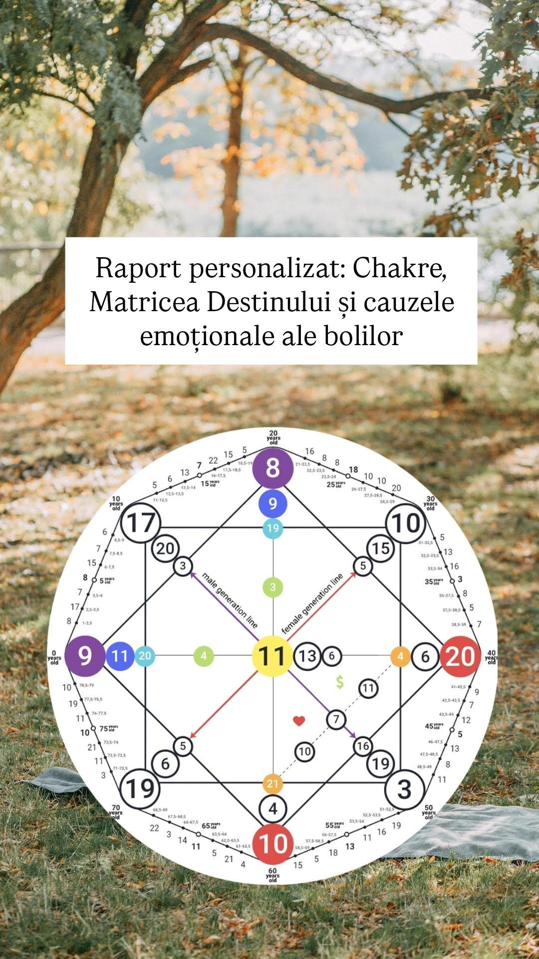 Raport Personalizat: Chakre, Matricea Destinului și Cauzele Emoționale ...