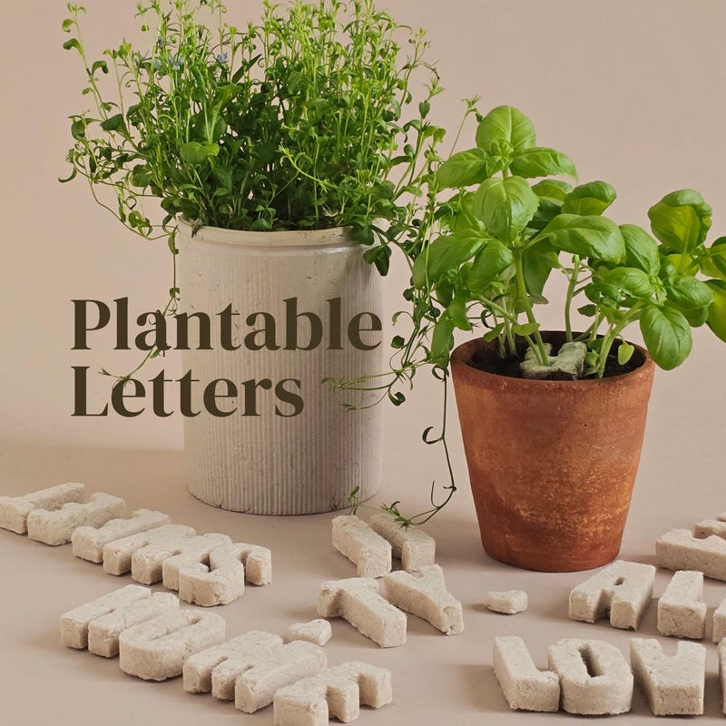 Sustainable Gifts Herbs - 60+ Gift Ideas for 2025