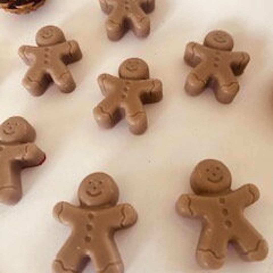 Gingerbread Man Wax Melts Candy Cane Soy Wax Melts - Etsy