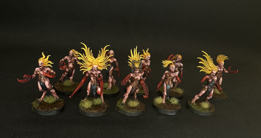 Warhammer 40k/ Aos/ Old Word Daemonettes of Slaanesh 10 Models, Battle ...