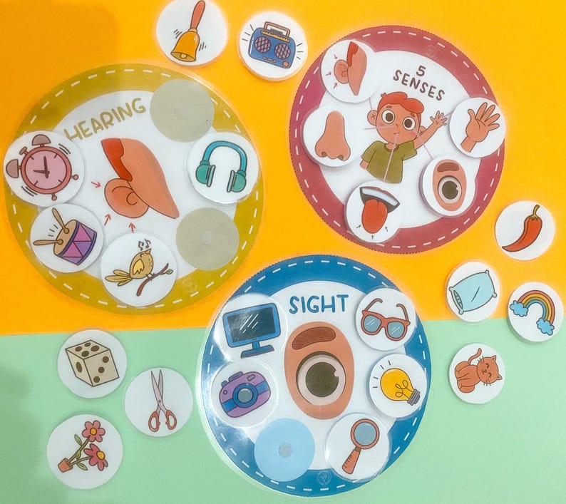 Five Senses Sorting Activity Printable 5 Senses Sorting Homeschool ...