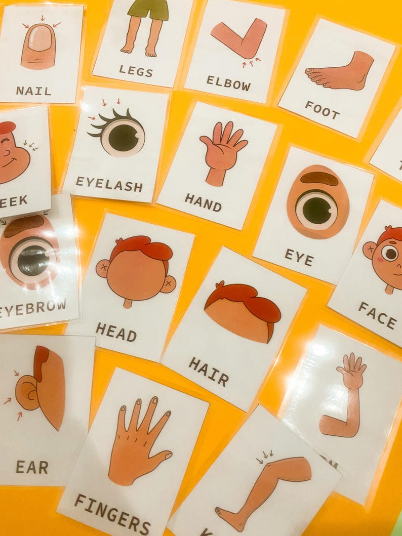 Body Parts Flashcards Homeschool Montessori Materials Toddler Flash ...