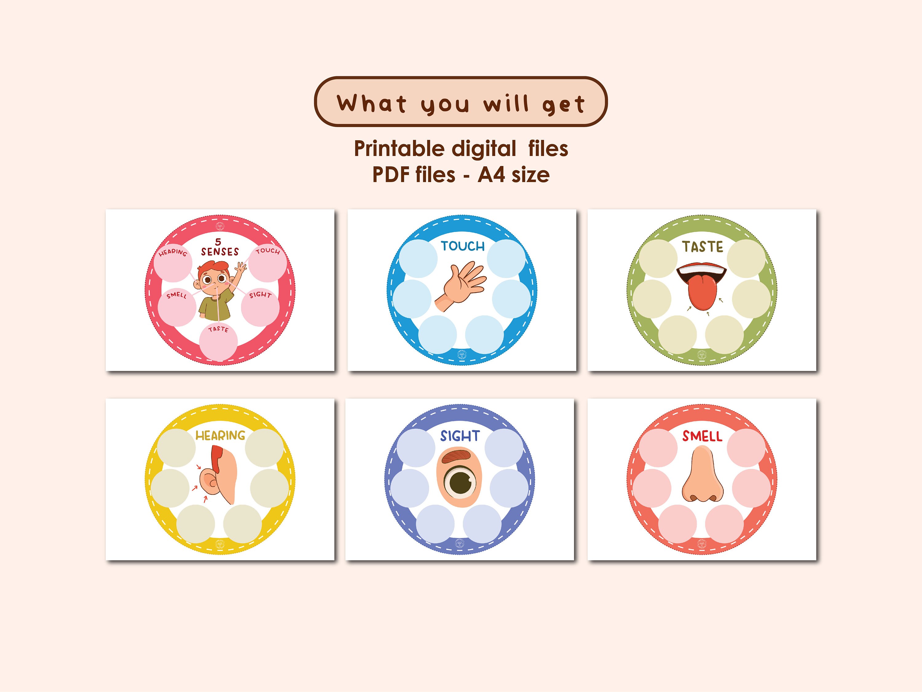 Five Senses Sorting Activity Printable 5 Senses Sorting Homeschool ...