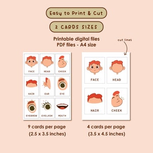 Body Parts Flashcards Homeschool Montessori Materials Toddler Flash ...