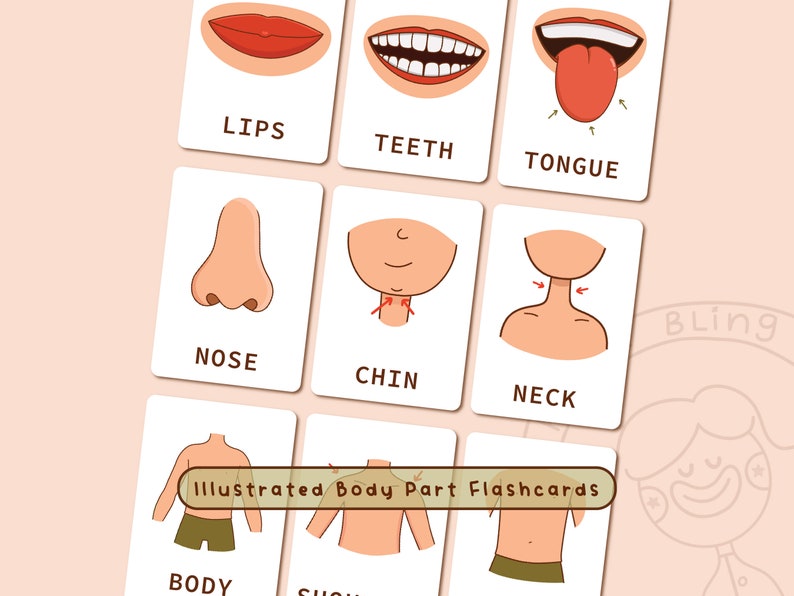 Body Parts Flashcards Homeschool Montessori Materials Toddler Flash ...