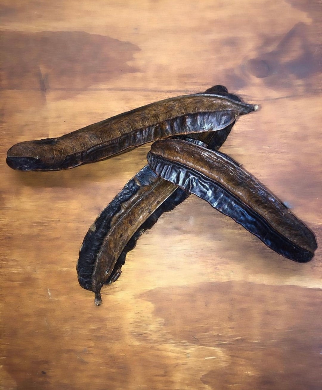 Fresh Prekese Pods Tetrapleura Uhio Aidan Uyayak Oshosho - Etsy