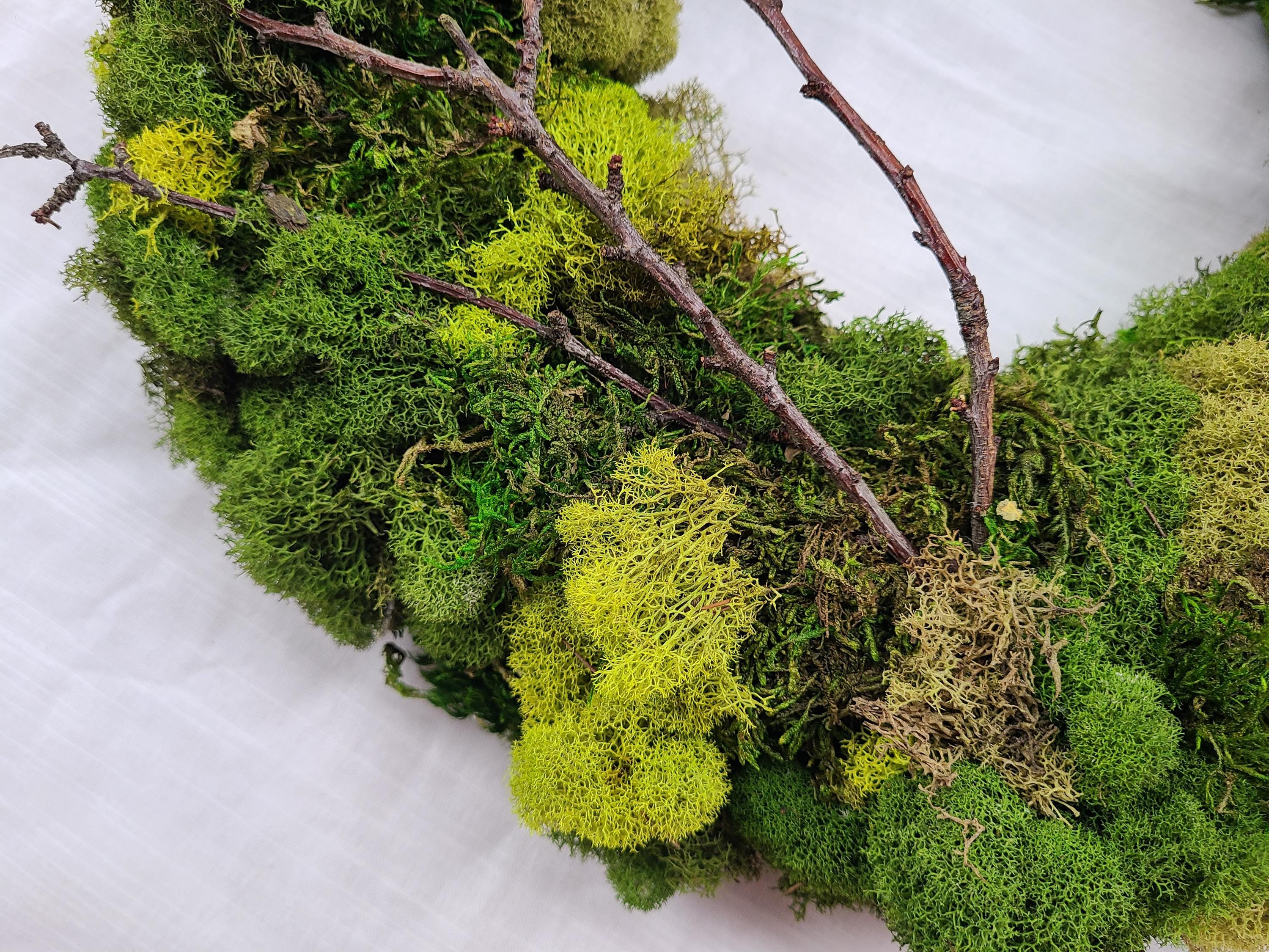 Preserved Moss Wreath Natural All Seasons Green Wreath Front Door ...