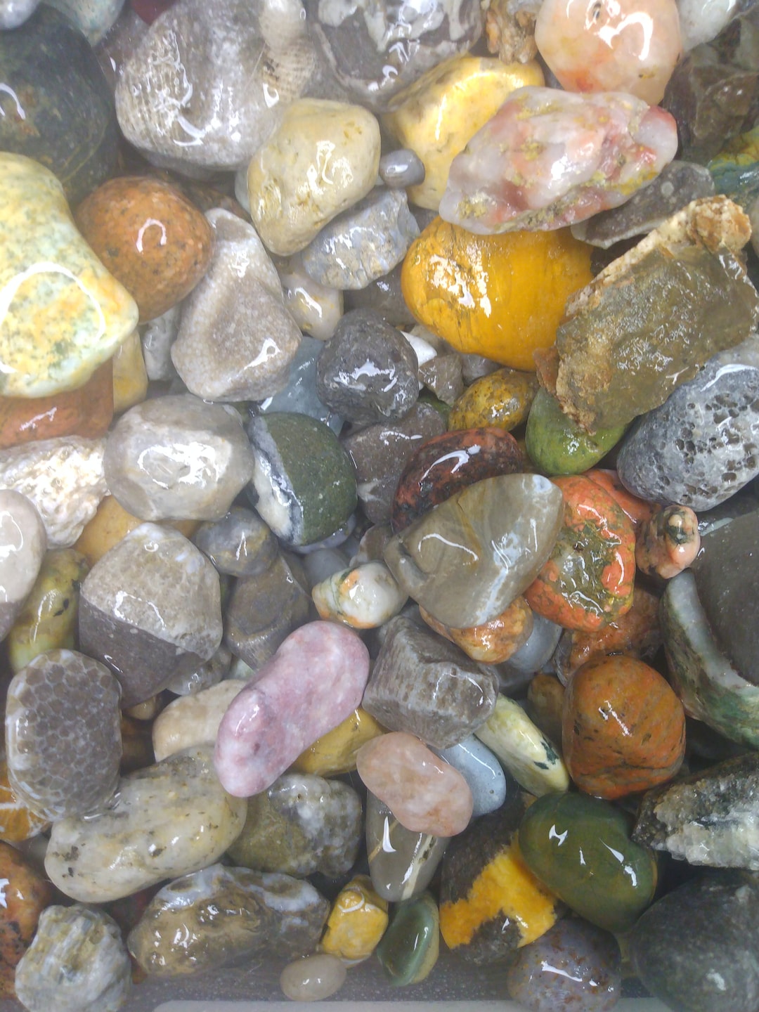Bulk Lake Erie Stones - Etsy