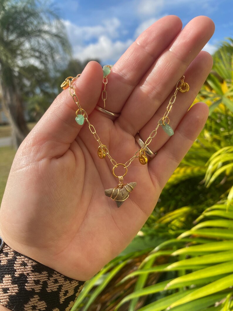 Fossil Bull Shark Tooth Charm Adjustable Bracelet - Etsy