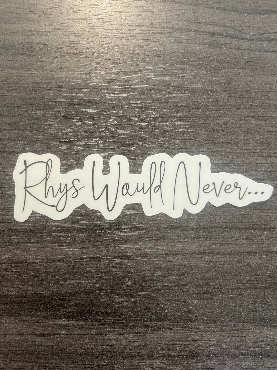 Rhys Would Never ACOTAR Inspired Sticker Spicy Book Worm, Bookish ...