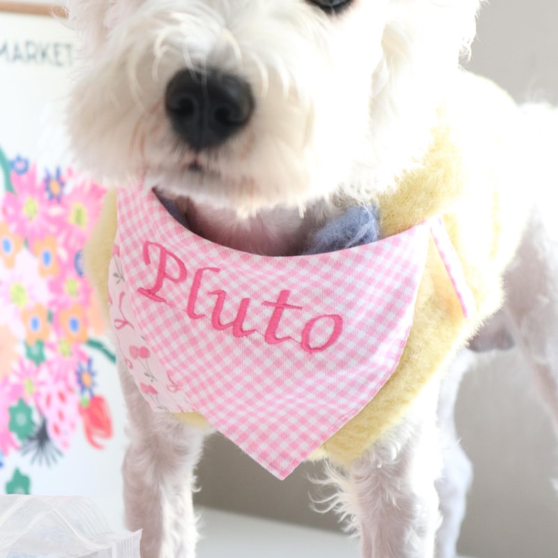 Towel Bib for Dog - Etsy