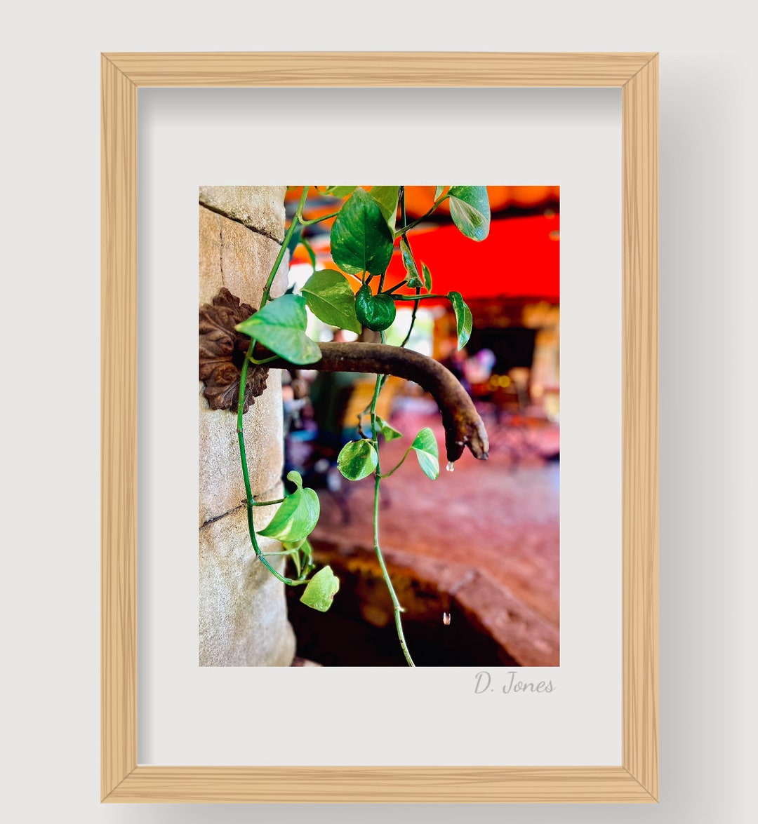 Westlake Village, California ‘drop by Drop’ Fountain Plant Vine Water ...