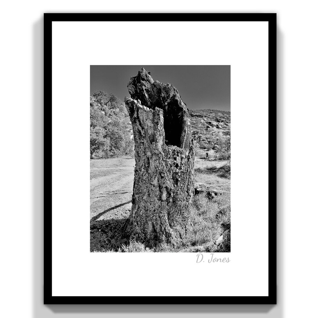 Simi Valley, California ‘hallow’ Tree Stump Hills Hiking Chumash Trail ...