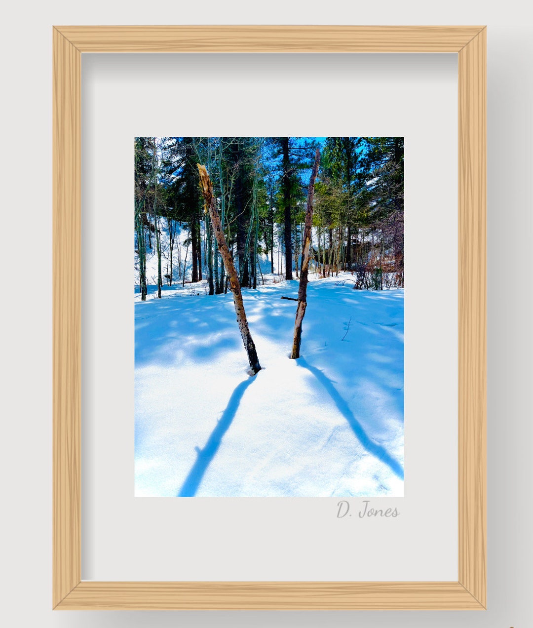 Mount Charleston, Nevada ‘two Sticks’ Mountain Trees Tall Green Snow ...