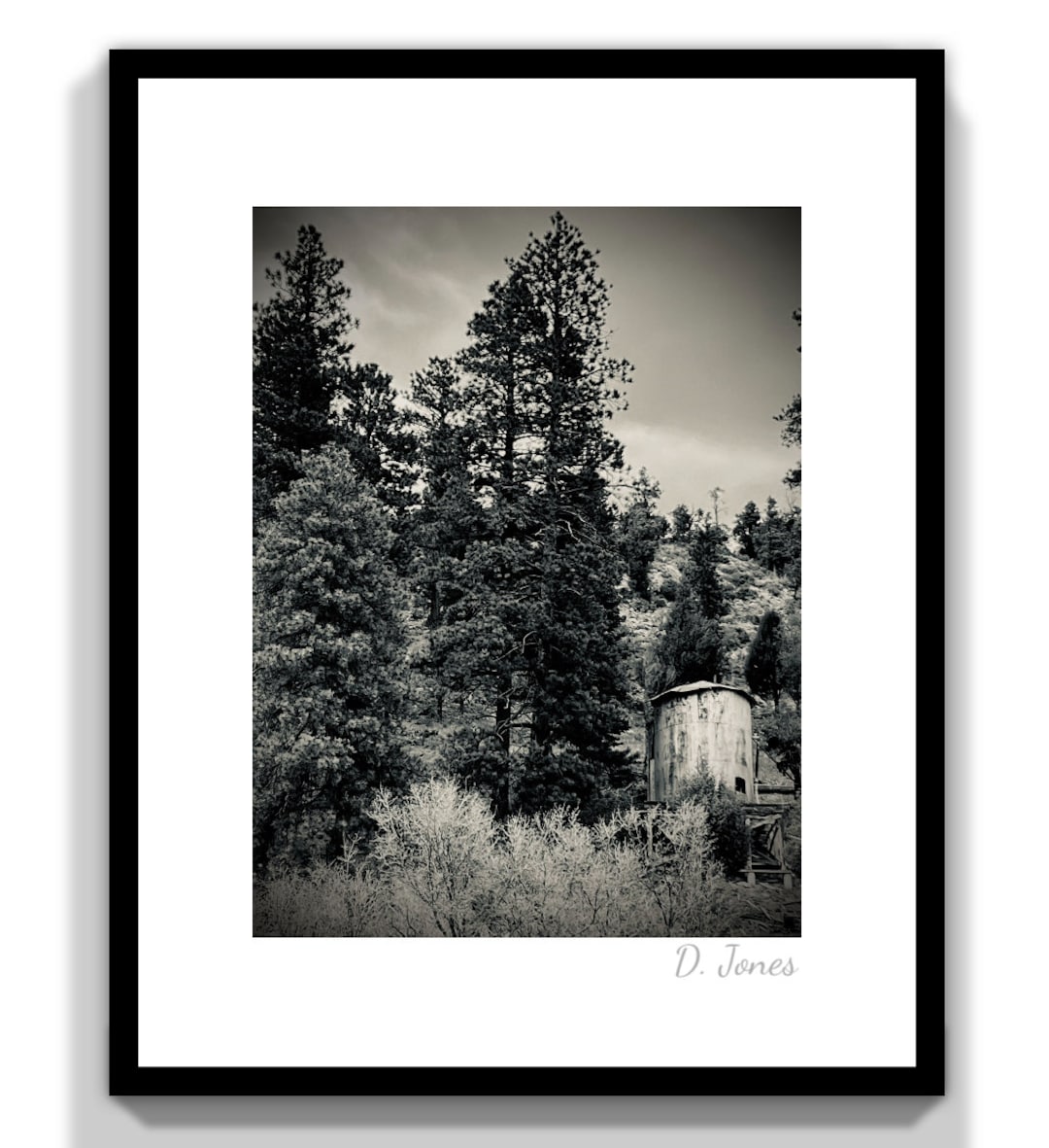 Las Vegas, Nevada ‘lifeline’ Hill Trees Branches Trunks Leaves Water ...