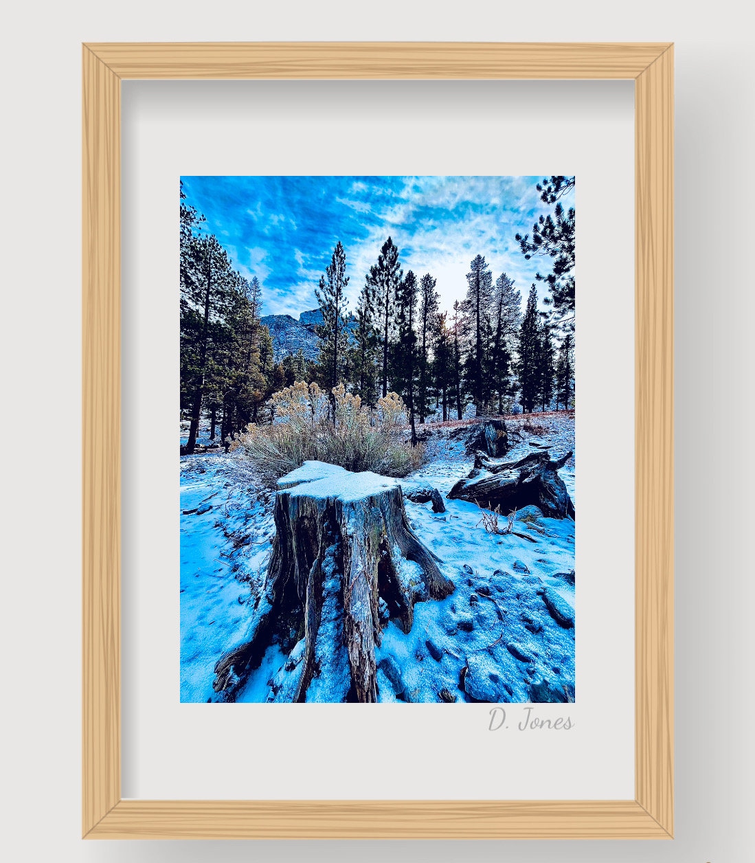 Las Vegas, Nevada ‘winter’s Vail’ Snow Trees Stump Sky Clouds Ground ...