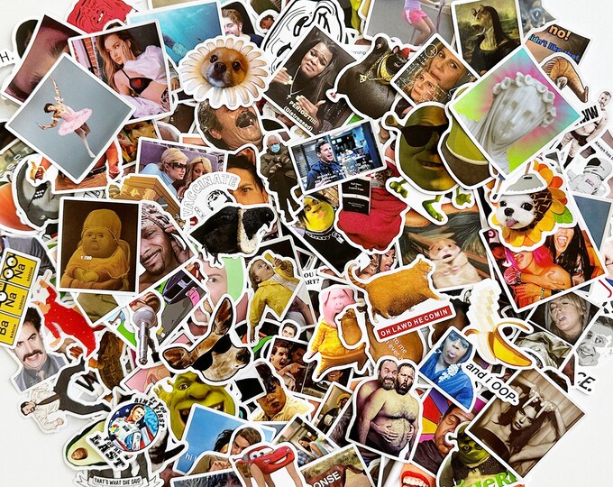 200 Pcs Funny Meme Vinyl Stickers Pack, Large Bulk Sticker for Laptop ...